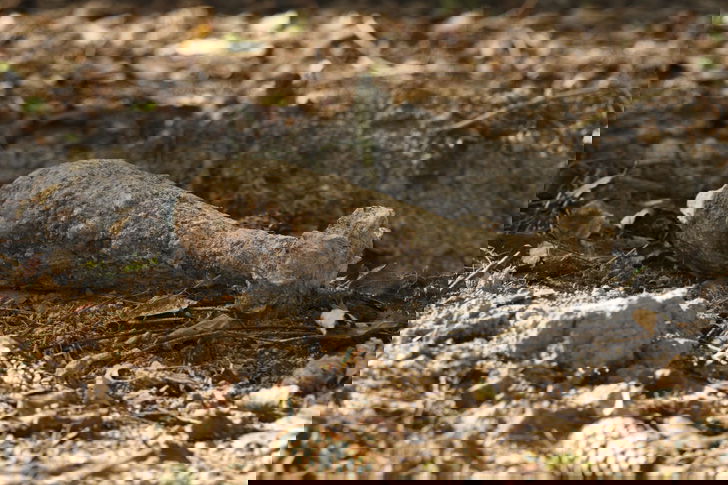 Unexploded mortar shell unearthed in Malaga « Euro Weekly News