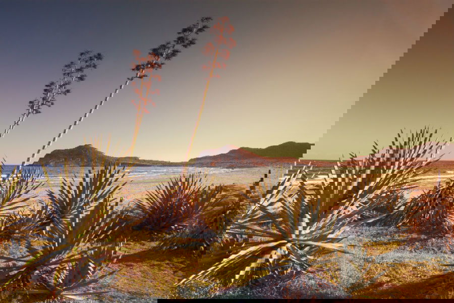 Old summer days and nights! « Euro Weekly News