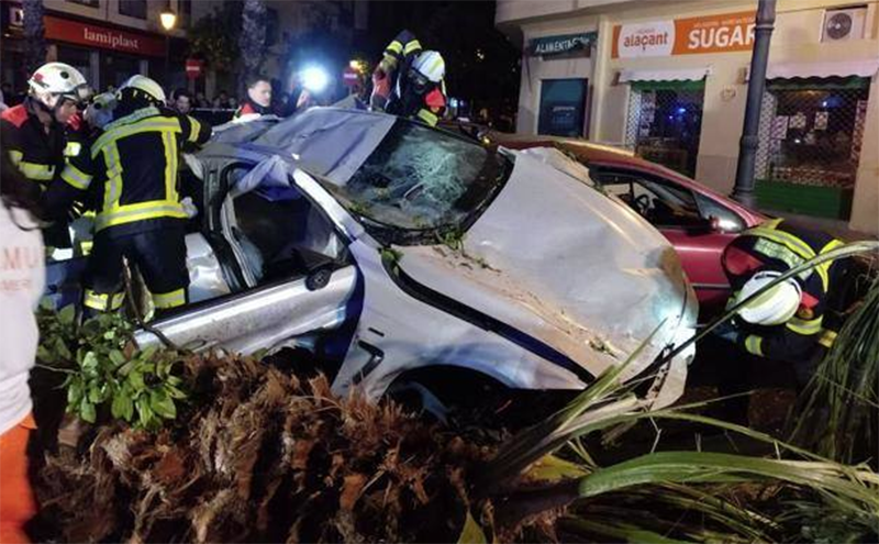HORROR SMASH: High speed crash obliterates BMW and uproots palm trees ...