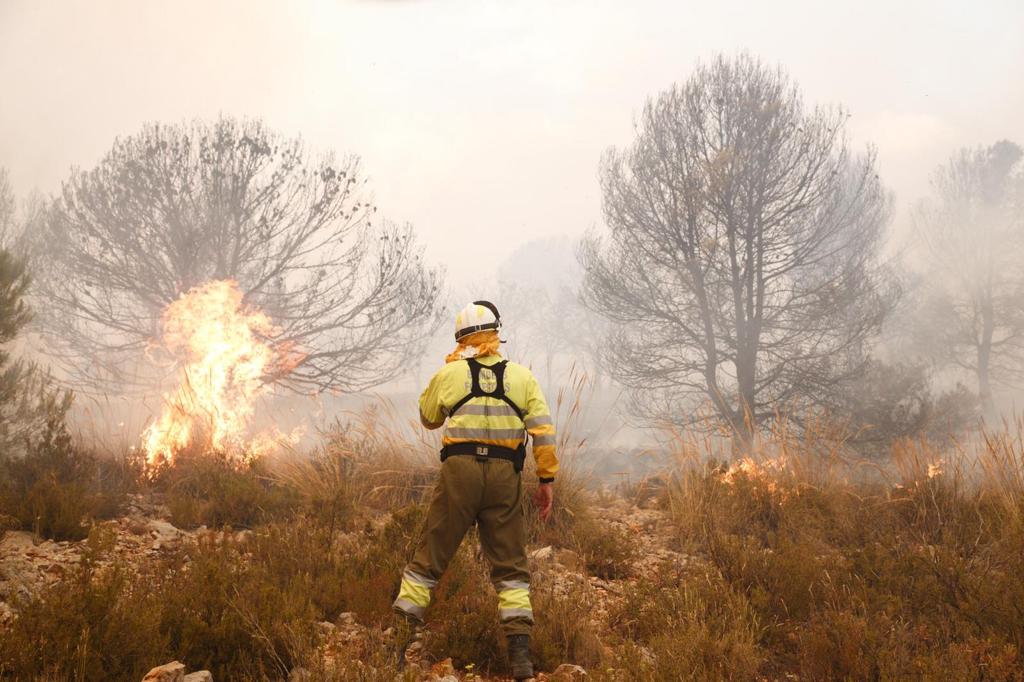 84 evacuated in Alicante forest fire with smoke reaching Benidorm ...