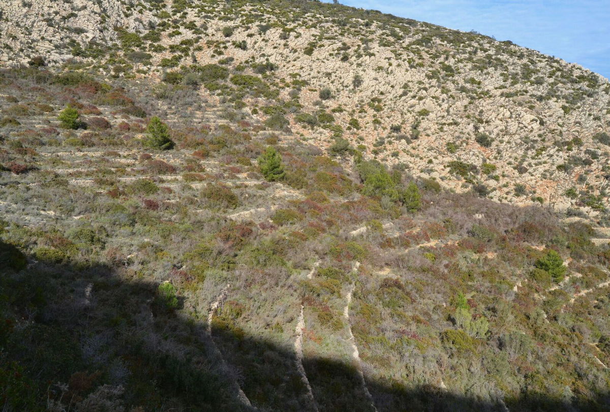 Drystone Walling Seminar to be Held at Jalon Town Hall « Euro Weekly News