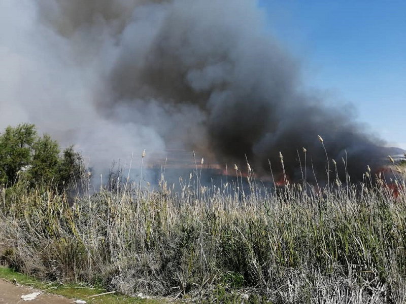 WATCH: Fire out in Costa Almeria natural reserve in Spain « Euro Weekly ...