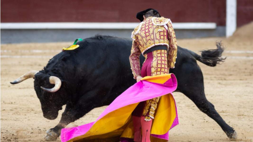 Fine For Spanish Woman Who Called Dead Matador An Assassin