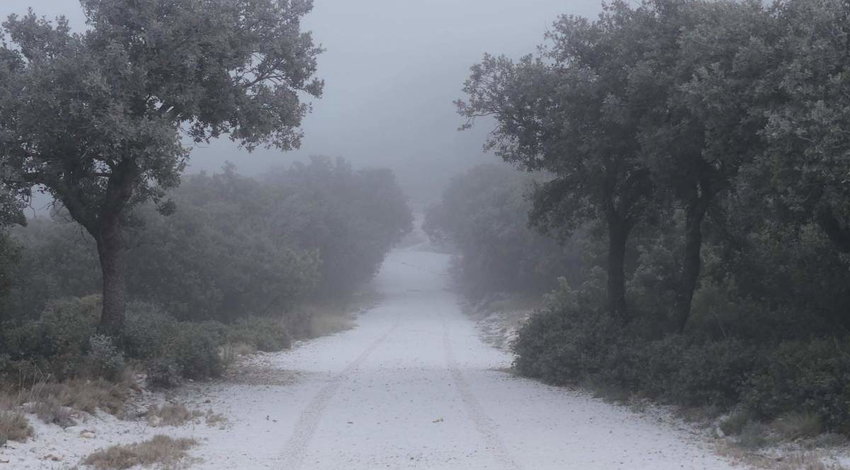 Storm Filomena Causes Chaos On Roads In Spain’s Valencia - Euro Weekly News