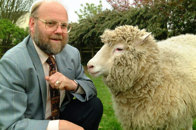 Dolly the sheep experiment celebrates her 25th birthday « Euro Weekly News