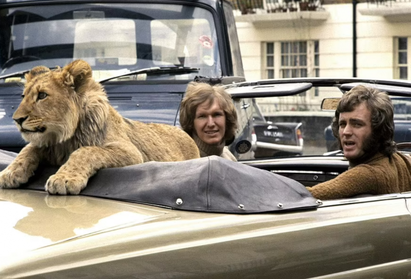 Man famously known for walking his lion around London in 60s dies ...
