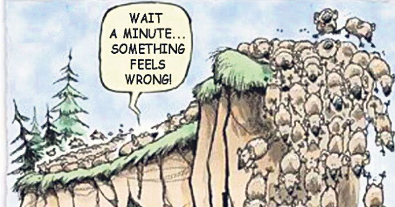 We the sheeple « Euro Weekly News