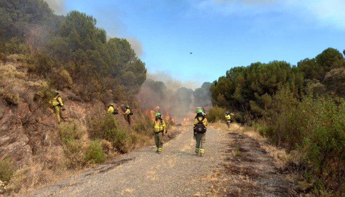 Level 1 alert lowered for El Ronquillo forest fire in Sevilla province