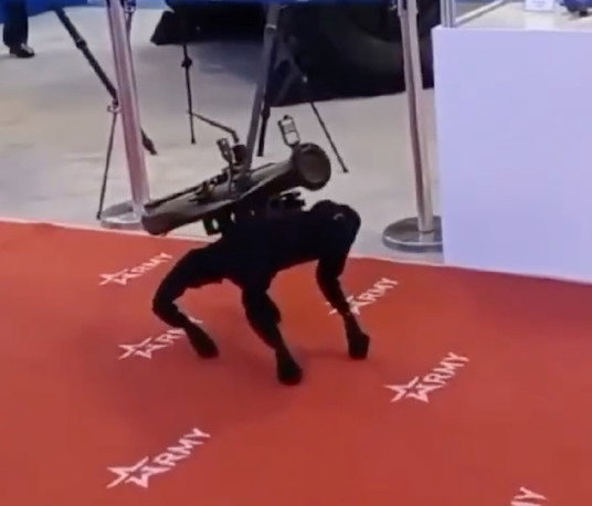 WATCH: M-81 robot dog armed with RPG-26 at Army 2022 defence expo in ...