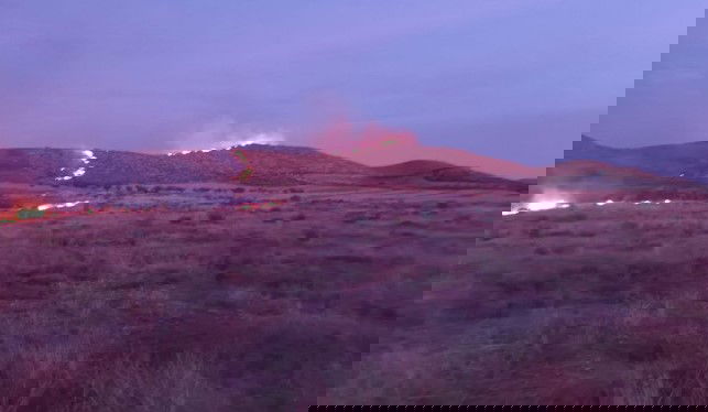 Infoca firefighters forest fire in Uleila del Campo, Almeria