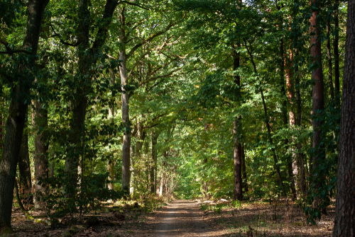“Nature Trails allows visitors to explore the countryside to discover ...