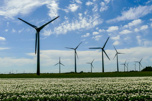 Repsol starts producing electricity at its first renewable project in ...