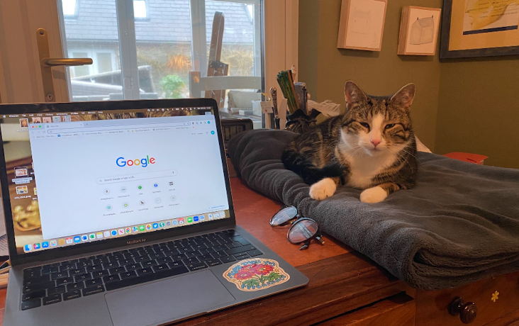 Former British breakfast TV host apologises to fans following social ...