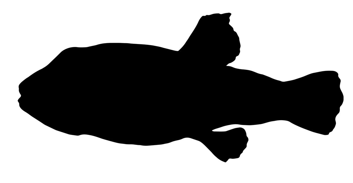 Malaysian woman tragically dies and her husband remains in a coma after ...