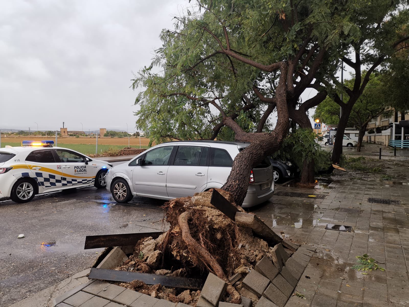 Storm Betty Batters Mallorca « Euro Weekly News