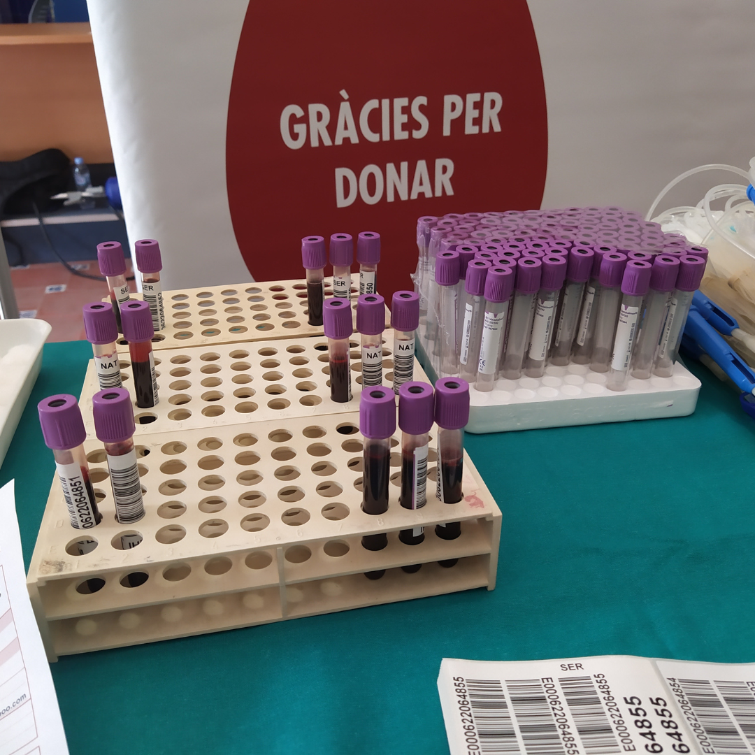 World Bone Marrow Day Celebrated « Euro Weekly News