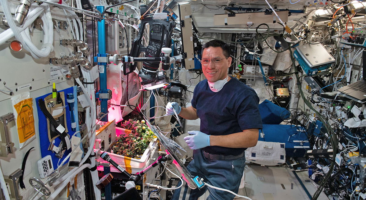 Found: the tomato that was lost in space « Euro Weekly News