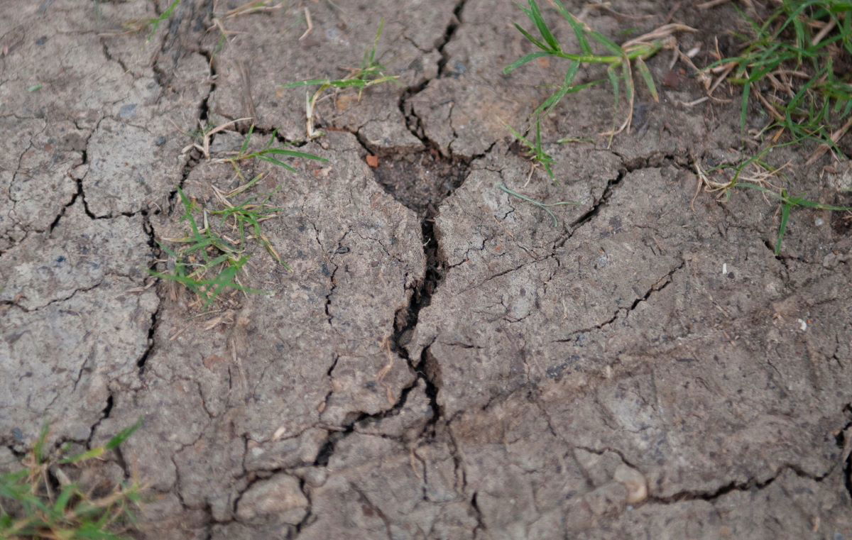 The Netherlands at risk of a drought « Euro Weekly News
