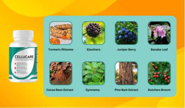 CelluCare Reviews (2024 Honest Warning) Can it effectively regulate ...