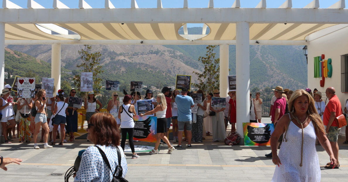 Free the donkeys protest escalates in Mijas « Euro Weekly News