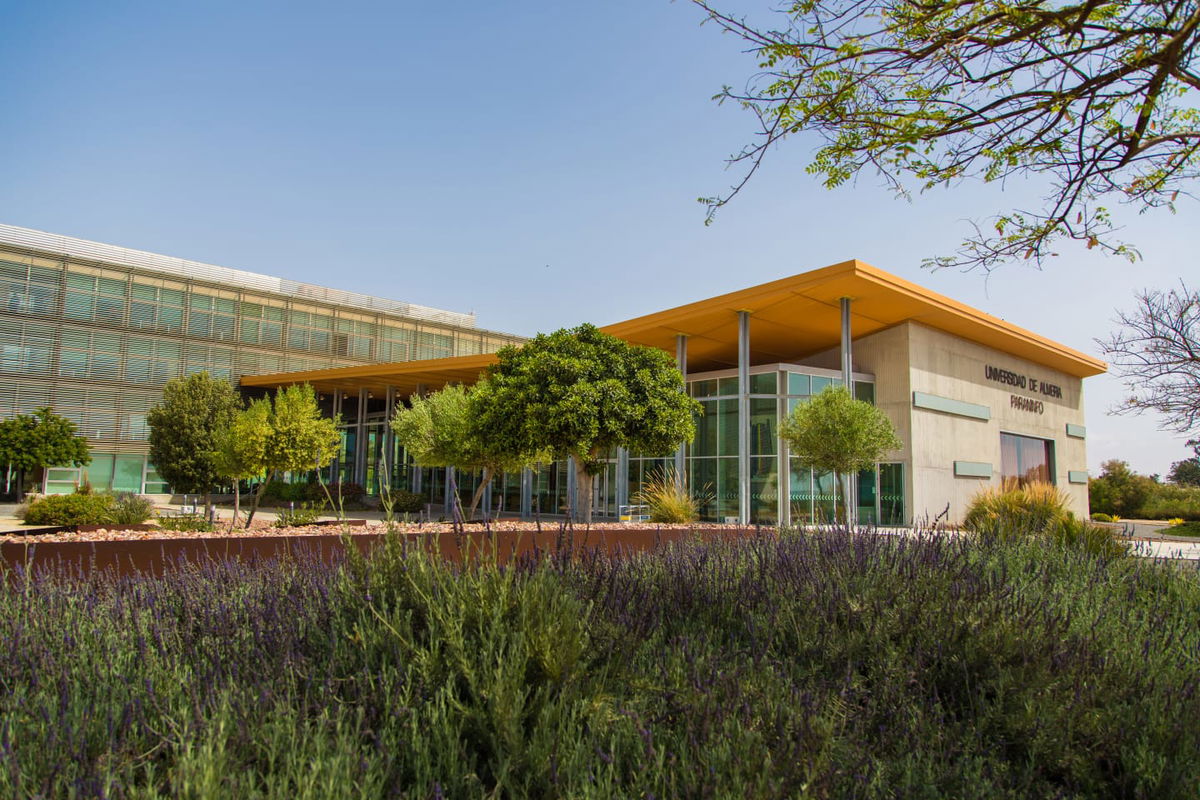 University of Almería shines in global rankings « Euro Weekly News