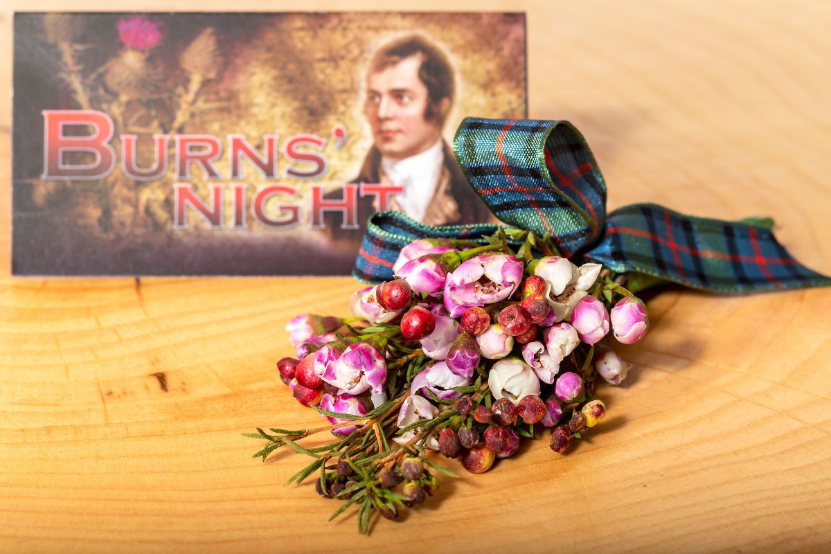 Celebrate Burns Night with The Lions « Euro Weekly News