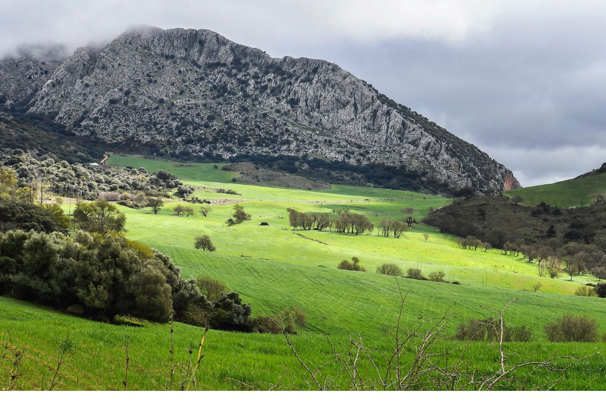 Social Steps in Axarquia « Euro Weekly News