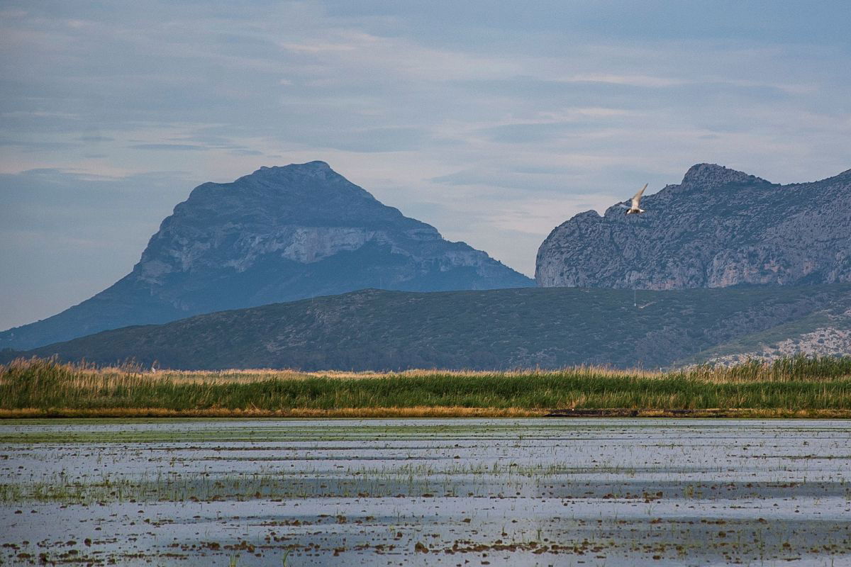 Unforgettable walking adventures: Montgo « Euro Weekly News