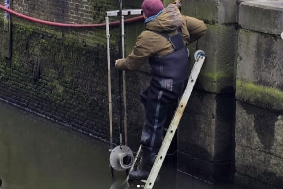 Fish Doorbell website inundated « Euro Weekly News