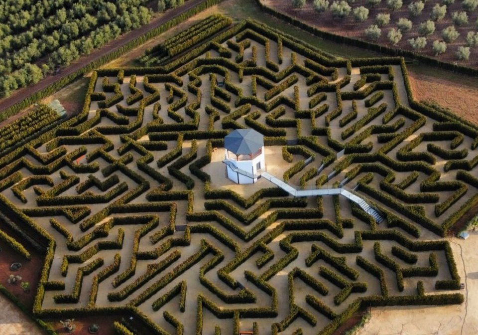 Spain’s largest maze opens with bio-technology « Euro Weekly News