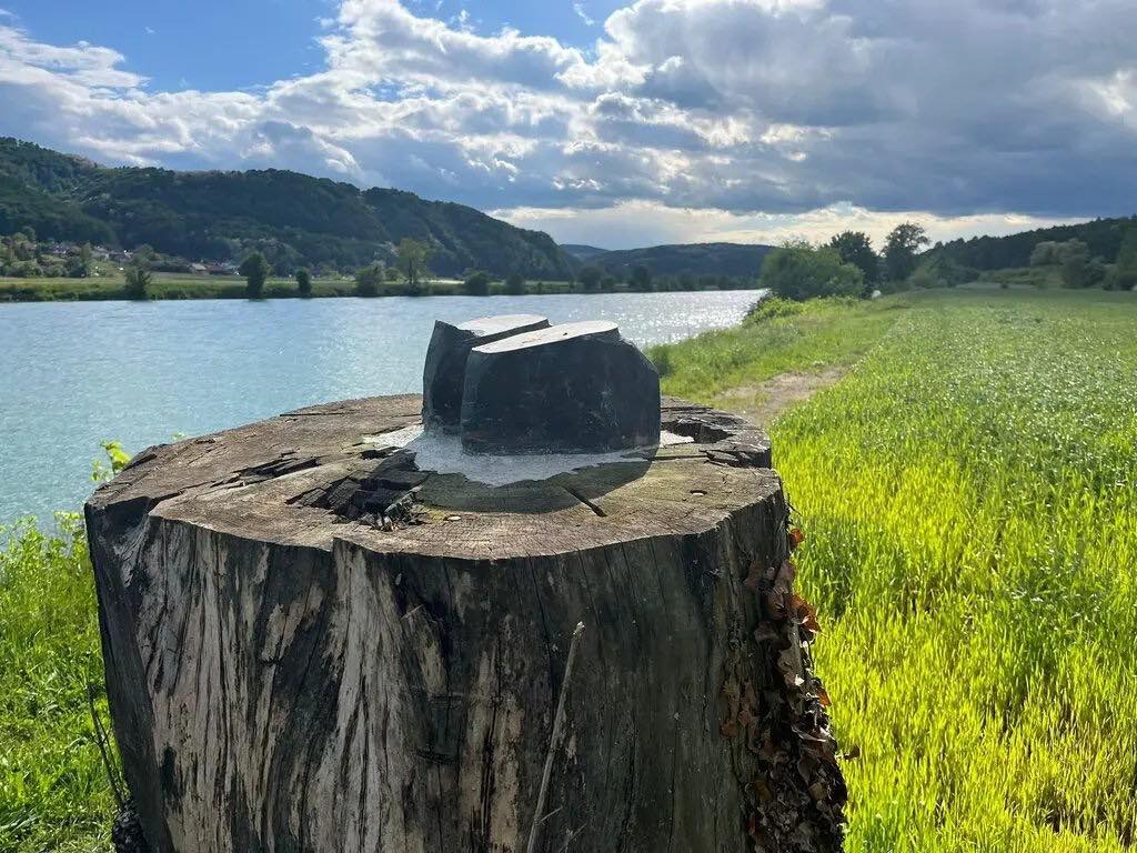 Stump still standing: From First Lady « Euro Weekly News