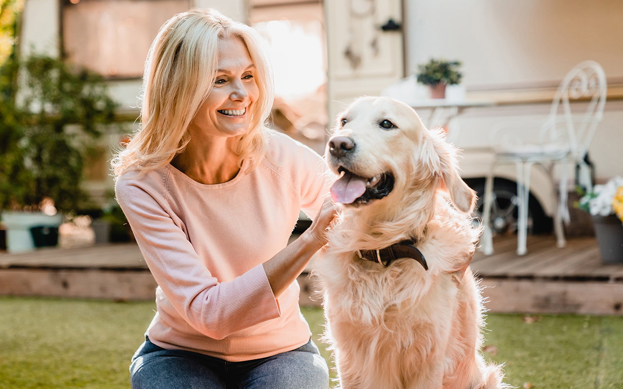 Fines Up To 60 000 To Protect Animals Euro Weekly News