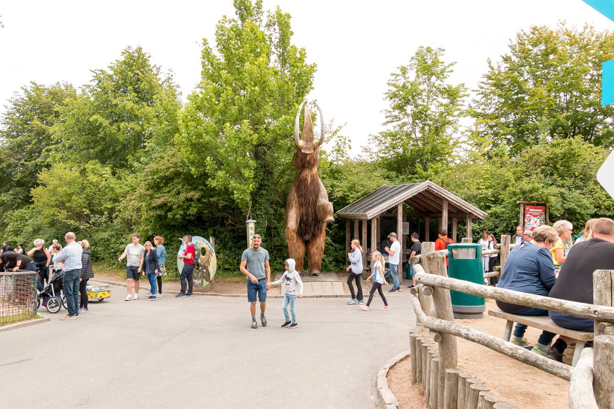 Denmark Zoo Stirs Debate Over Pet Donations « Euro Weekly News