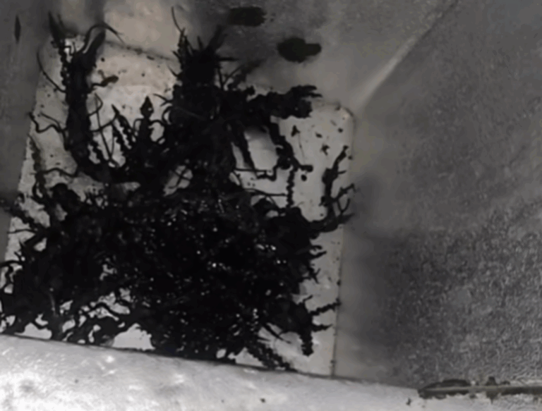 Panama’s ‘Venom alien’ meteorite « Euro Weekly News