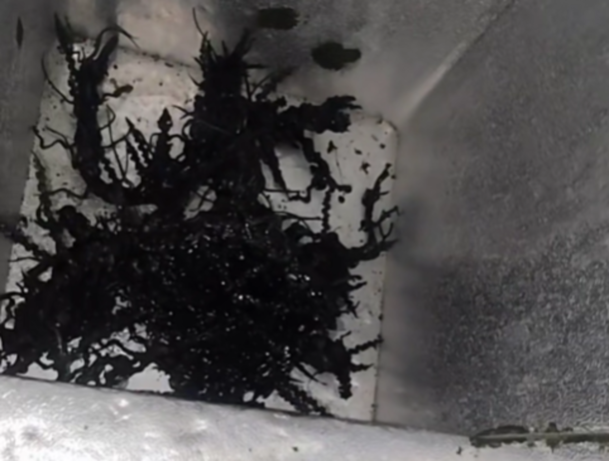 Panama’s ‘Venom alien’ meteorite « Euro Weekly News