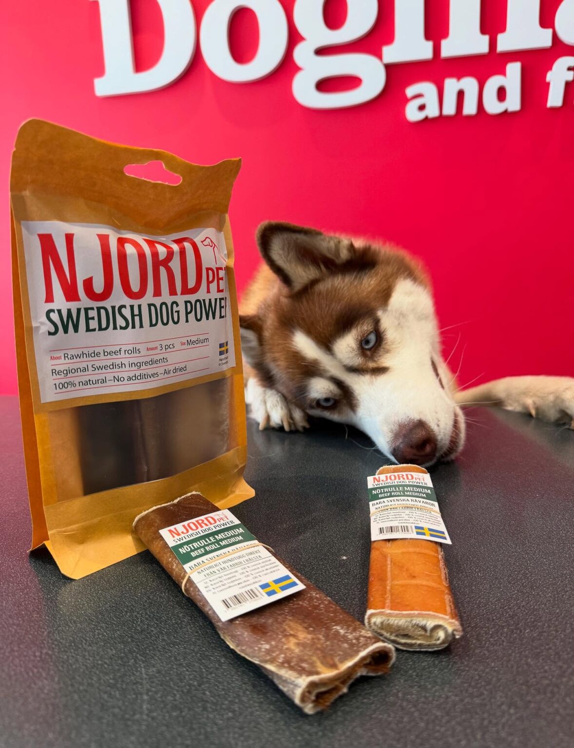 Dogman & Friends conquer the Costa del Sol « Euro Weekly News