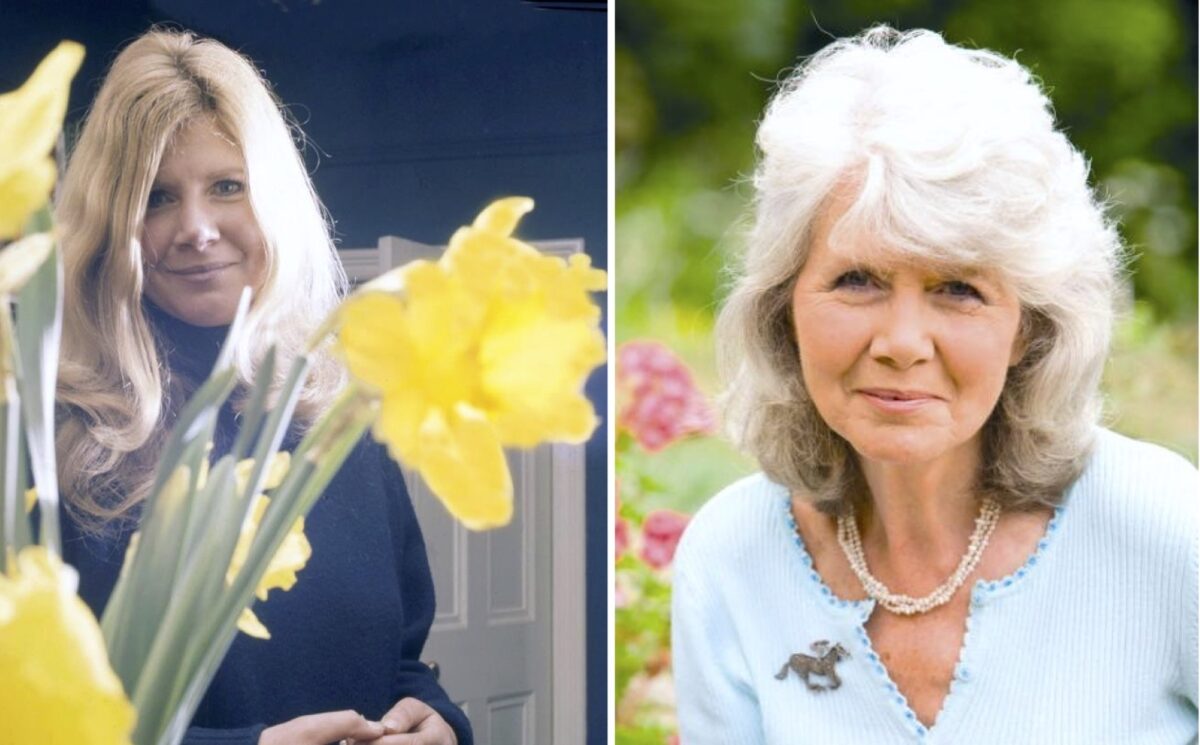 Author Jilly Cooper has passed away at 88 « Euro Weekly News
