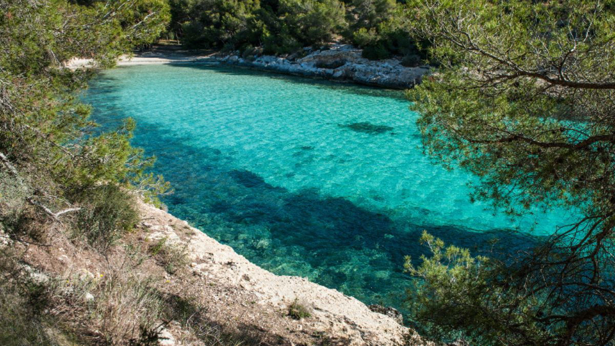 Calvià one of Spain’s best beach destinations « Euro Weekly News
